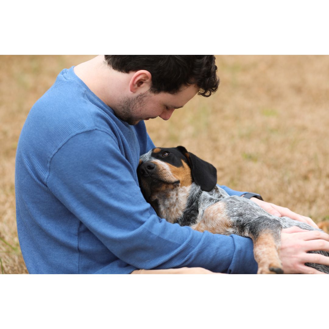 6 Tips To Be A Responsible Dog Owner - Prelesnik Animal Hospital